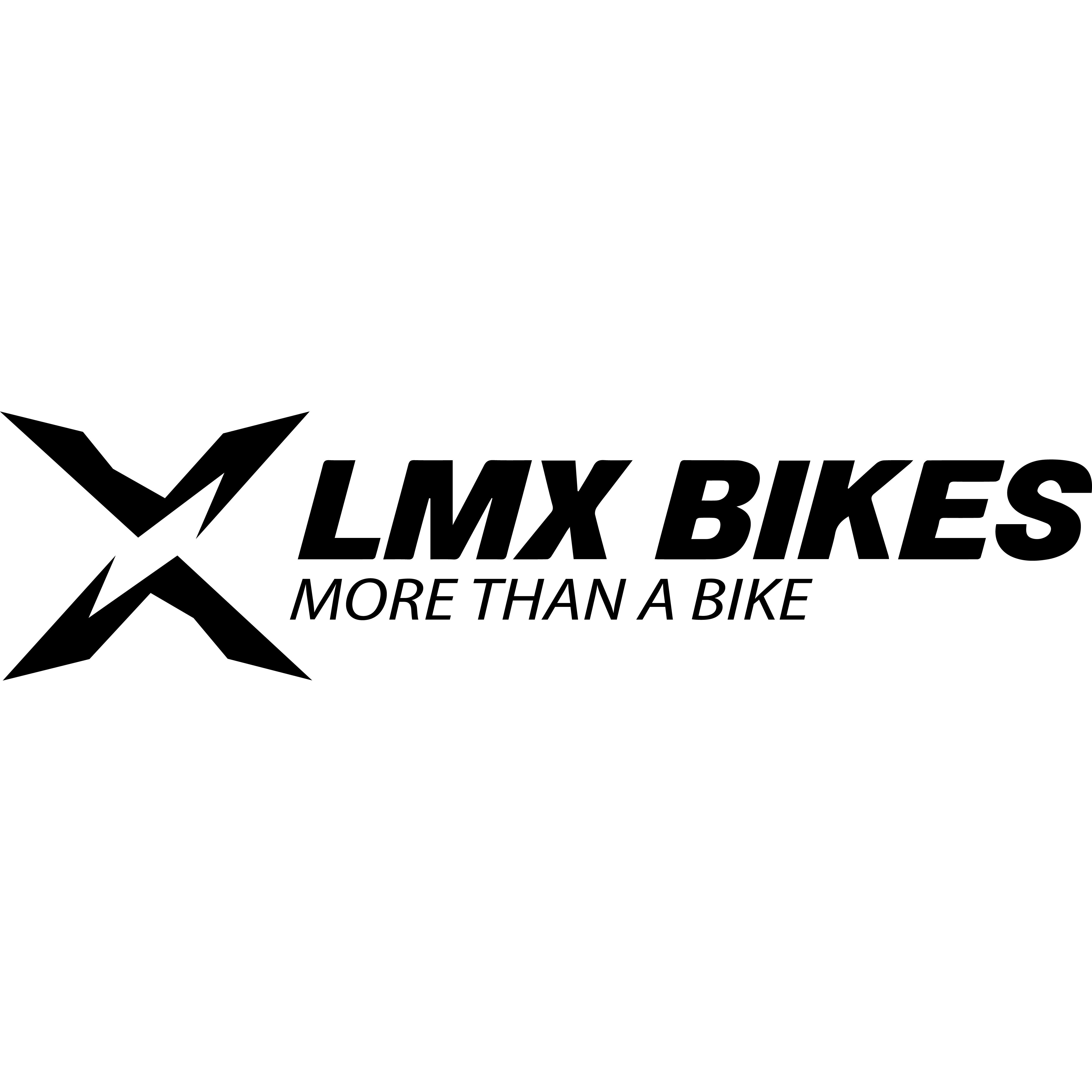 LMX Bikes – Tampa Bay eBikes