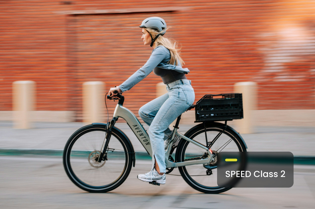 Electric Bikes – Tampa Bay eBikes