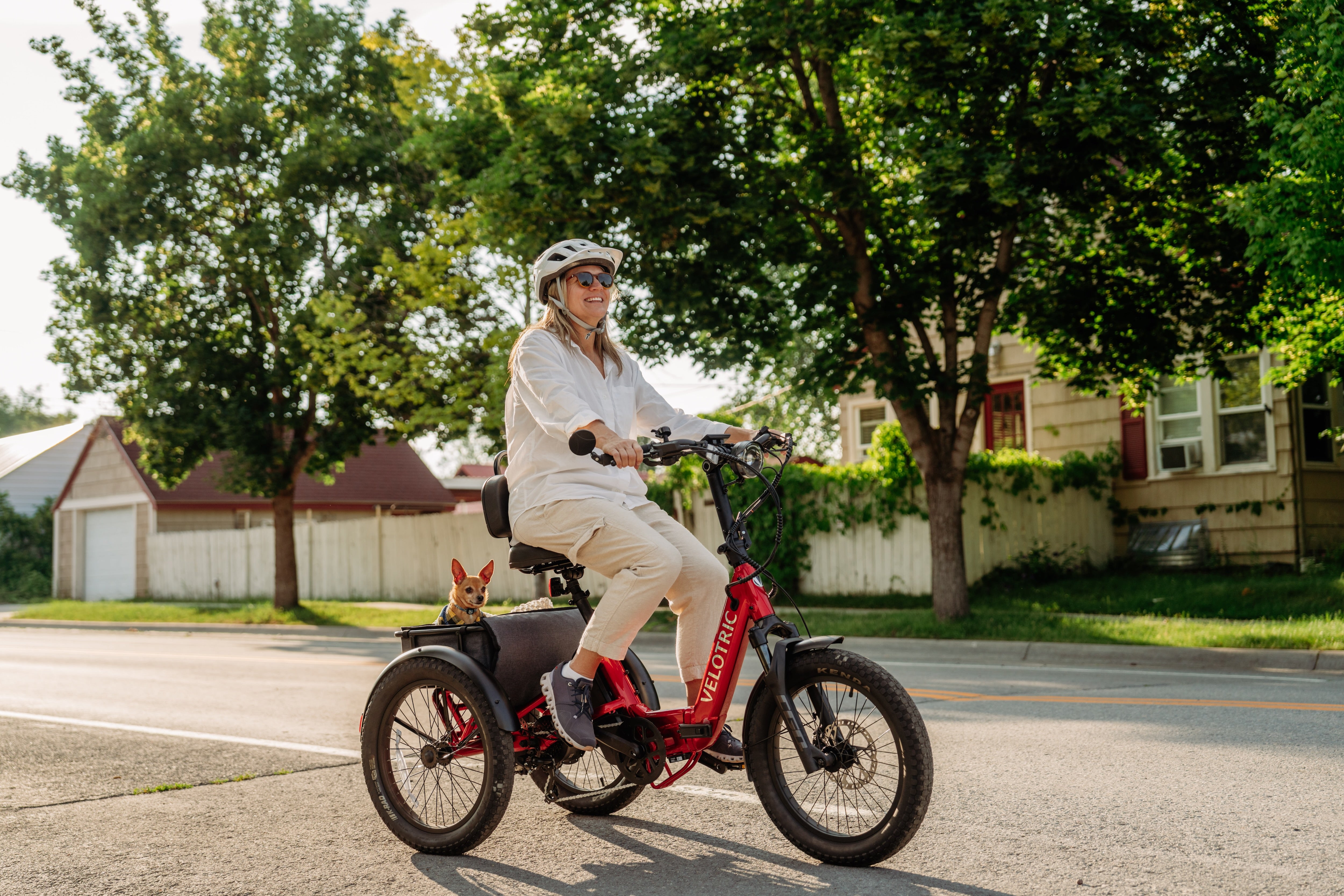 Electric Bikes – Tampa Bay eBikes