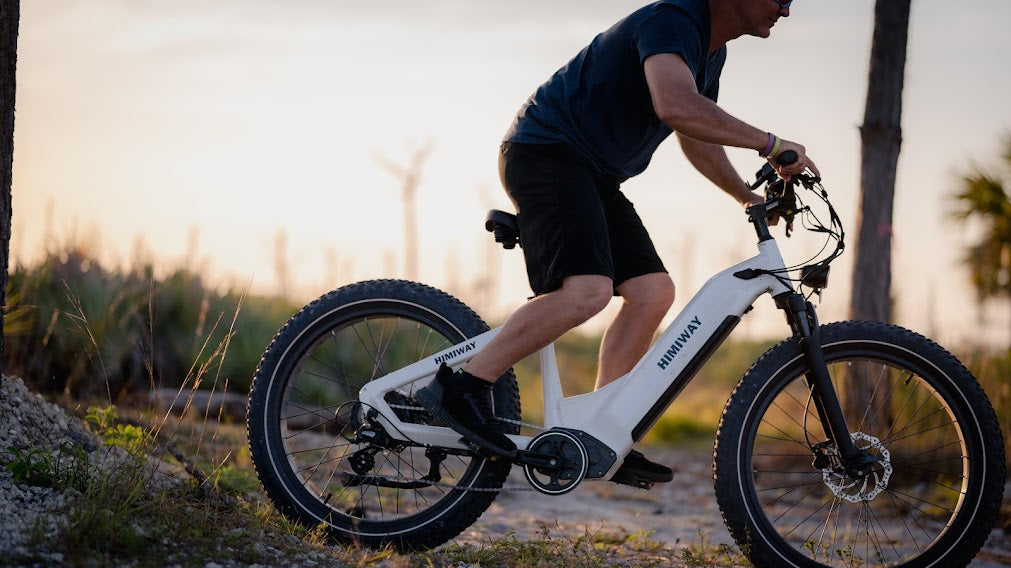 Electric Bikes – Tampa Bay eBikes